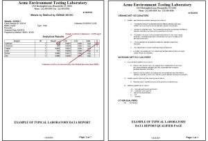 What Do My Lab Results Mean? Interpreting Laboratory Data Reports - Walden