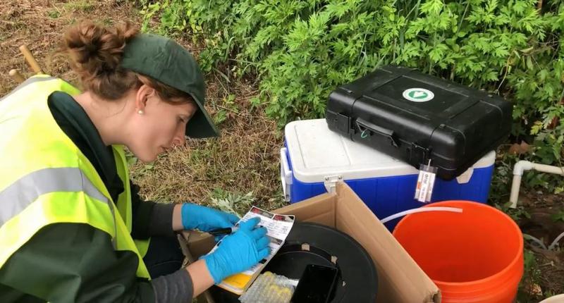 Groundwater Sampling - Walden