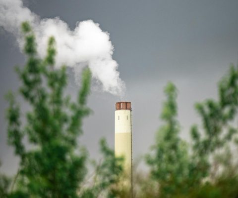 Everything You Need to Know About Smoke School - Walden